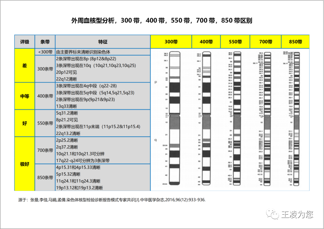 不孕症、习惯性流产为什么要查高分辨染色体核型分析 微医（挂号网）