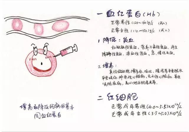 【检验指标】手绘版《如何读懂血常规》带你简单了解血常规 微医（挂号网）