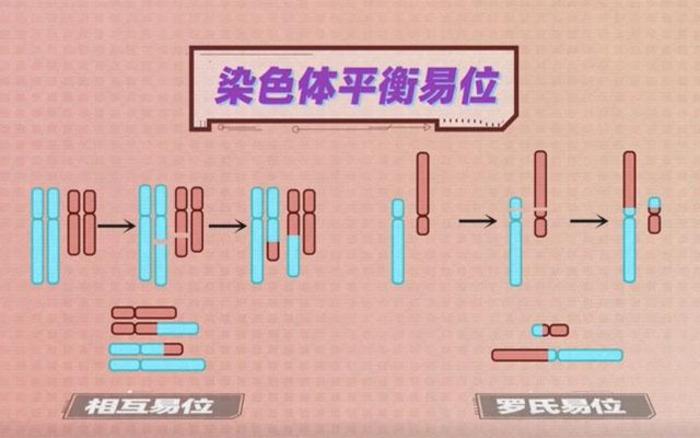 检查出染色体异常还能要孩子吗？染色体异常能做试管婴儿吗？ 微医（挂号网）
