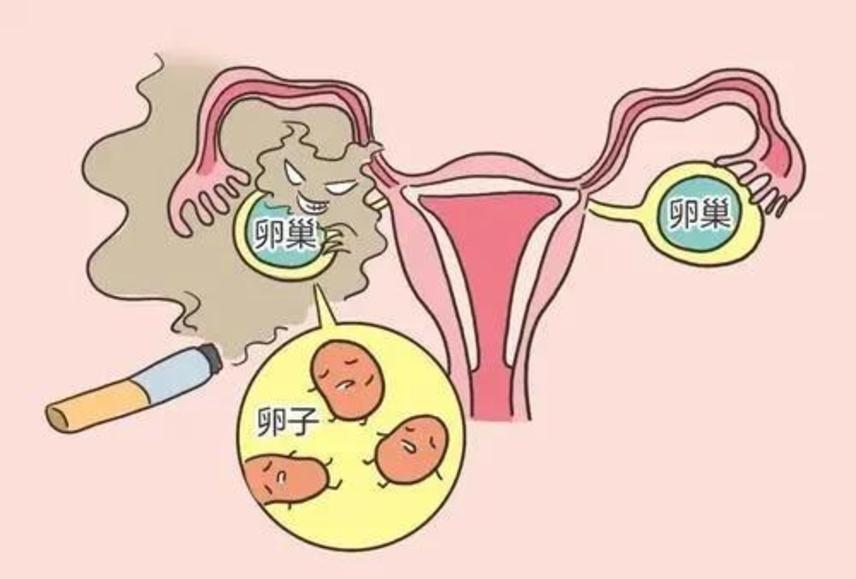 【上海市东方医院生殖医学中心】警惕卵巢早衰，知道这些很重要 微医（挂号网）