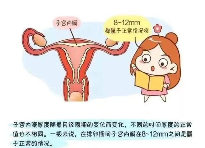 【上海市东方医院生殖医学中心】移植周期内膜准备常用方案 微医（挂号网）